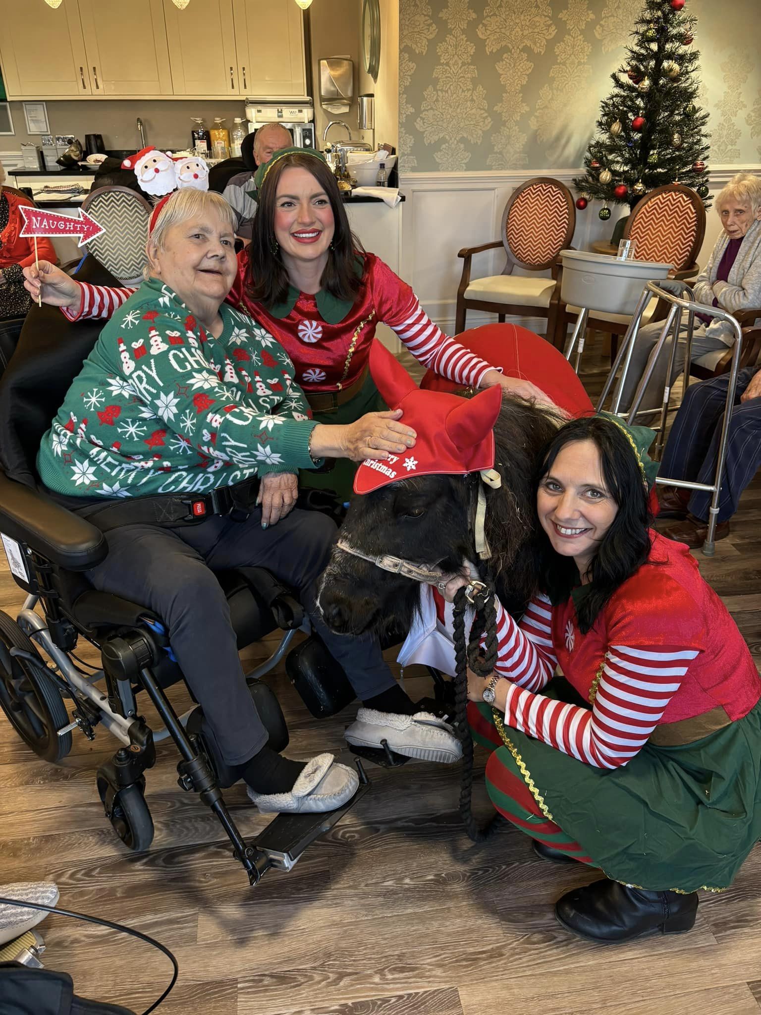 Miniature Shetland Pony helps care home residents saddle up for ...